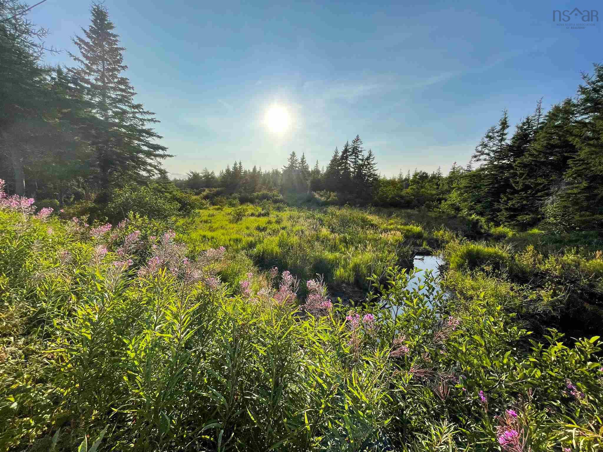 Long Beach Road, Port Morien, (MLS® 202202589) RE/MAX nova