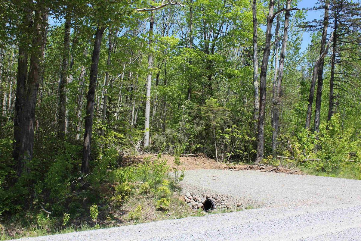 Lot 101 Forest Glade Road, Forest Glade, (MLS® 202301191) RE/MAX nova