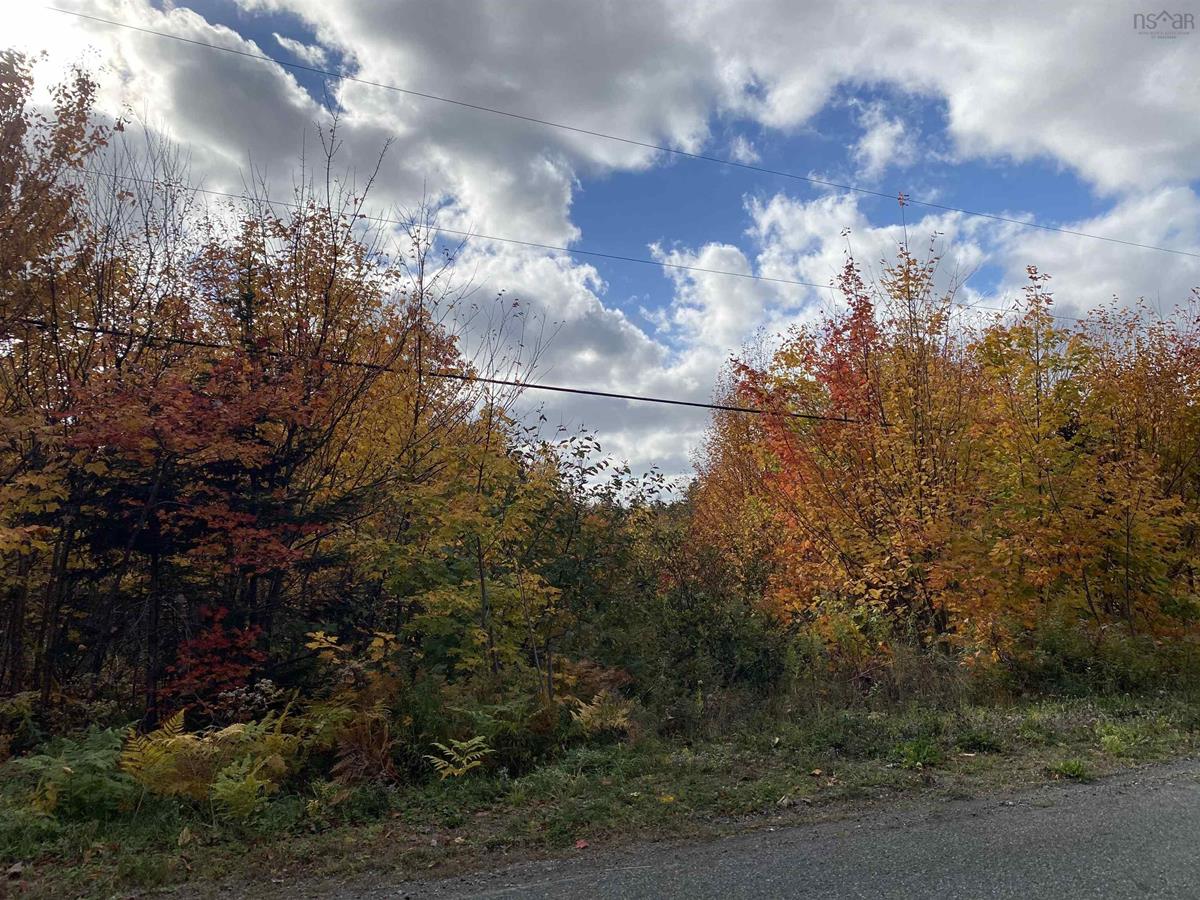St. James Road, Big Bras D'Or, (MLS® 202526488) REMAX NOVA