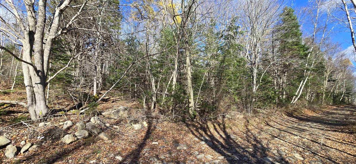 Lots R1 & R2 Beamish Road, Mount Uniacke, (MLS® 202527412) REMAX NOVA